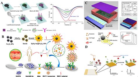 Electrochemical Detection Of Extracellular Vesicles For Early Diagnosis