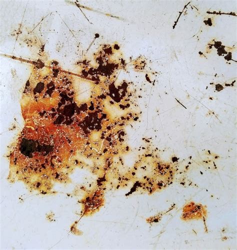 Rust Patch White Background Free Stock Photo Public Domain Pictures