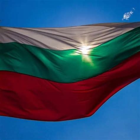 булчински салон ДИМАР