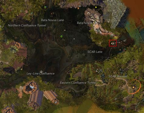 Tangled Depths Mastery Insights And Strongboxes Guide Dulfy Reborn