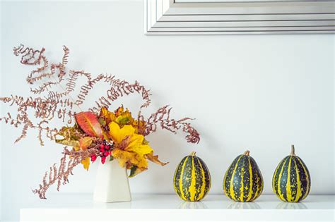 세 장식 줄무늬 호박과 떨어지는 잎과 흰색 가슴에 양치류의 꽃다발꽃병 거울 흰색 벽의 배경에 테이블 가을 자연 가정 인테리어 장식입니다 공간을 복사합니다 10월에 대한 스톡