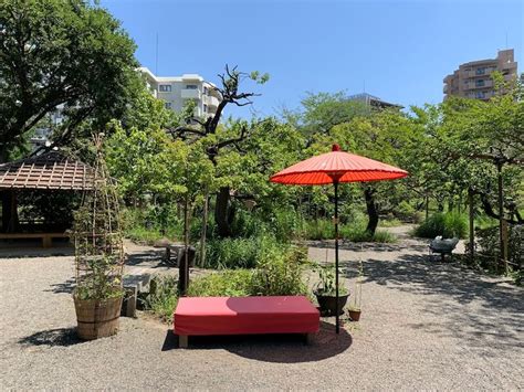 江戸時代に花開いた町人文化の結晶！真夏の向島百花園を歩く｜みどころ Com