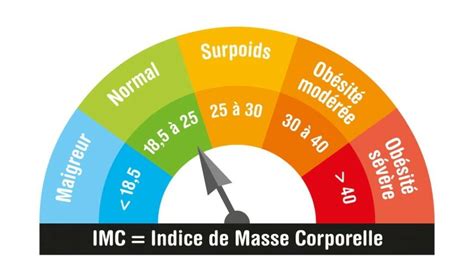 Imc Lindice De Masse Corporelle Wooskill Blog