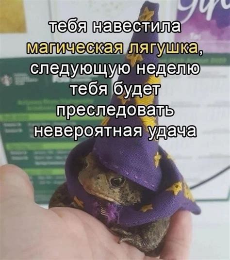 It Is Wednesday My Dudes Its Wednesday My Dudes Its Wednesday My