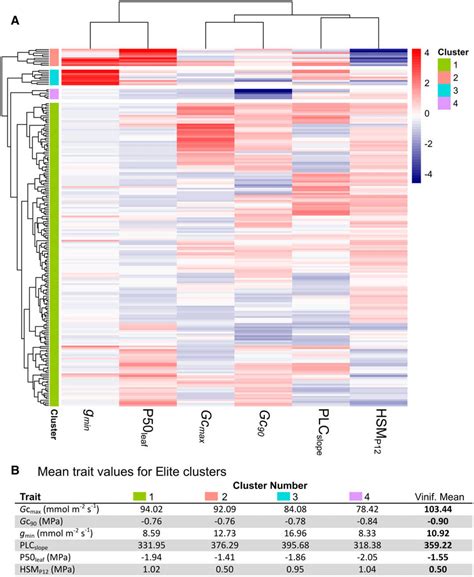 Cluster Analysis And Mean Values Of Elites A Cluster Analysis Of The Download Scientific