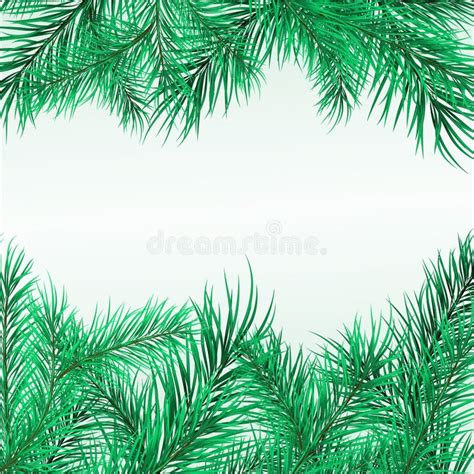 Framework From Pine Branches Stock Vector Illustration Of Border Nature 7335707