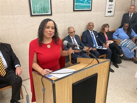 Chief Judge Rowan Wilson Takes Part In Brooklyn Courts Diversity Fair
