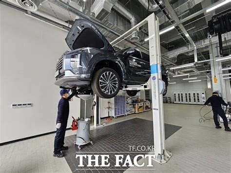 대기업 시대 열린 중고차 시장케이카 점유율 쪼그라들까 경제 기사 더팩트