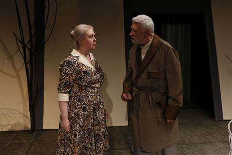 Moartea unui artist Teatrul Național Iași