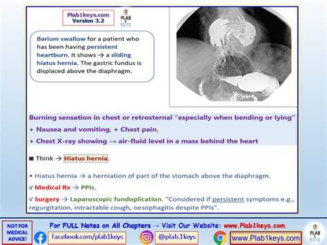 Plab 1 Keys √√ You Can Access All Notes And Summaries