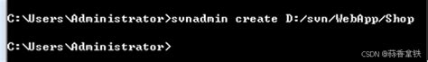 最全面的svn使用方式【tortoisesvn详解及常用命令】 Csdn博客