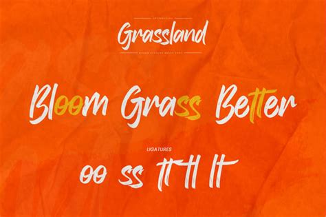 grassland rough texture brush font script and handwritten ft texture and unique envato