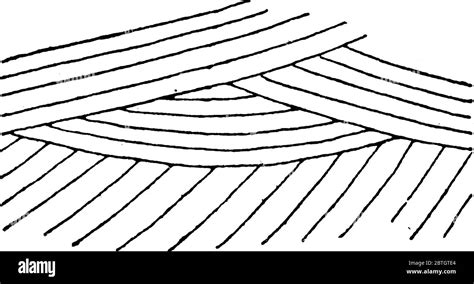 This Figure Shows A Eolian Cross Bedding Which Is Formed By Wind