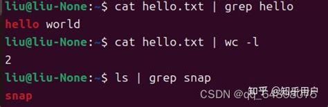 grep命令wc命令管道符详解 知乎
