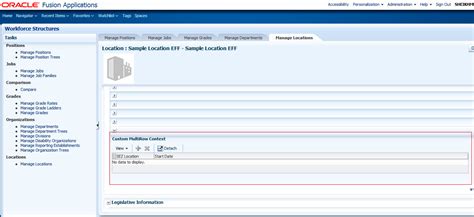 Fusion Apps Quick Start Fusion Apps New Flexfield Extensible Flexfields