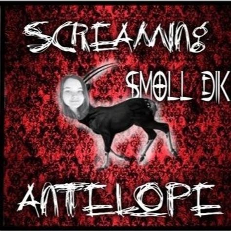 Stream Why Dont You Touch My Dik Dik Smol Dik Album By Screaming