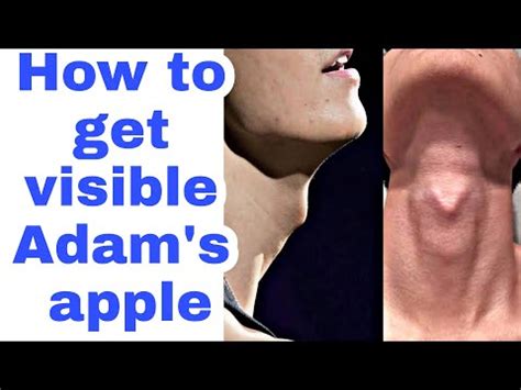 How To Get Visible Adam S Apple Without Surgery How To Get A Visible Adams Apple In Bengali
