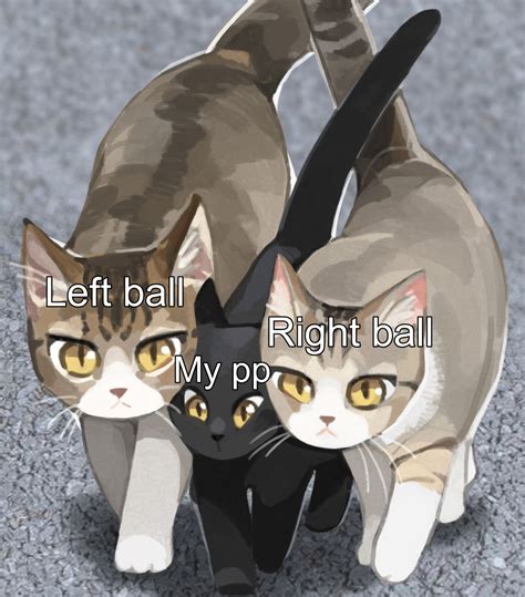 Squeeze R Memes