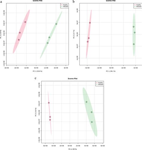 2d principal component analysis pca score plots of differential