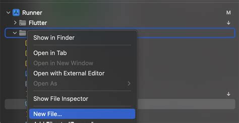 Iphone Flutter Ios App Icon Doesnt Chage On Background Layout