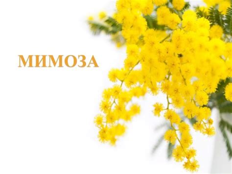 殺Рисунок к 8 марта с использованием ватных палочек Делюсь с вами