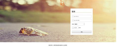 30 实践学分认定系统 基于 jsp ssm mvc模式 mysql java设计与实现 可运行源码 数据库 lw 用户管理模块、教师信息