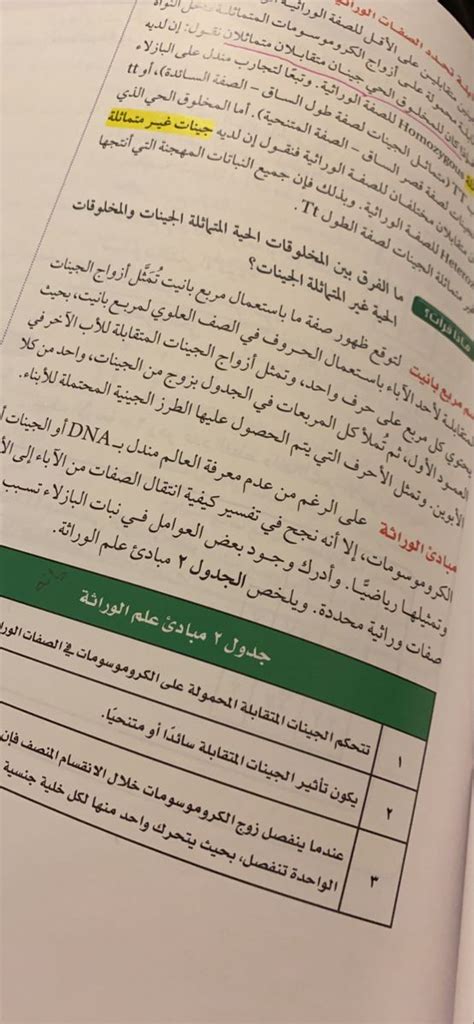 Arabic Bullet Journal Ideas