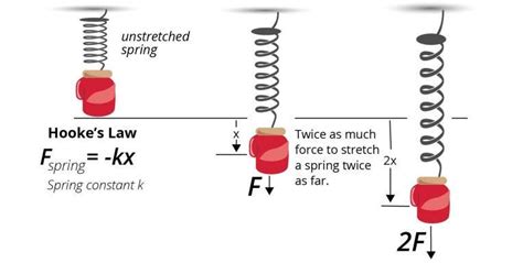 Hookes Law Understanding Definition Formula And Graph