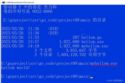 学习go的操作本人已有c的基础请思考后再看 CSDN博客