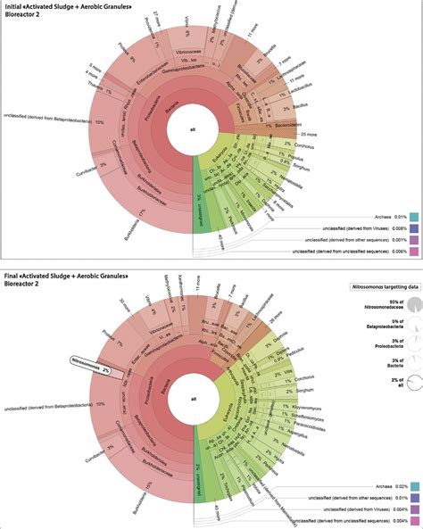 Metatranscriptomics Taxonomy Of Bioreactor 1 Activated Sludge Adapted Download Scientific