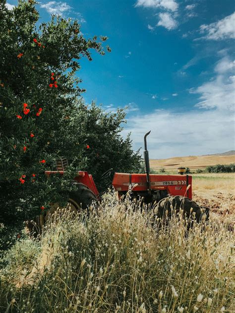 낮에는 푸른 하늘 아래 푸른 잔디밭에 빨간 트랙터 사진 Unsplash의 무료 파랑 이미지