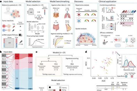 ai driven predictive model identifies cancer killing immune cells