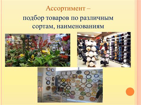 Виды магазинов