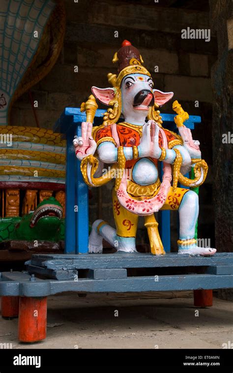 Colourful Nandi Vahanam Lord Shivas Vehicle In Arunachaleshwara Temple