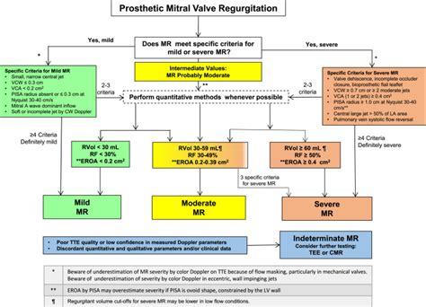 Guidelines For The Evaluation Of Prosthetic Valve Function With Cardiovascular Imaging A Report