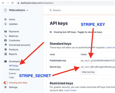 how to add stripe one time payment form to laravel project quick