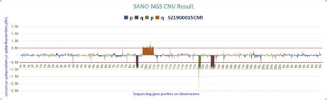 Copy Number Variations Cnv Analysis Based On Next Generation