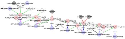 Model Of The NLRP3 Inflammasome Assembly The Initial Interaction