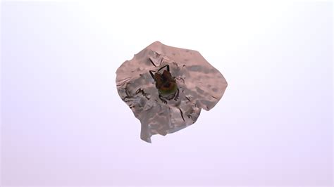 Colmapmeshlab Openmvs G Sericeifrons 3d Model By Fip Cohort9