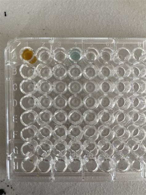 Conductivity Lab Paloma Rose Williams