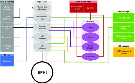 Mechanistic Model Of The European Fish Hazard Index Components