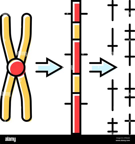 Gene Mapping Cryptogenetics Color Icon Vector Illustration Stock Vector