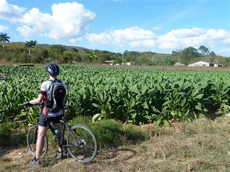 Cuba Cycling Tour Bikehike Adventures