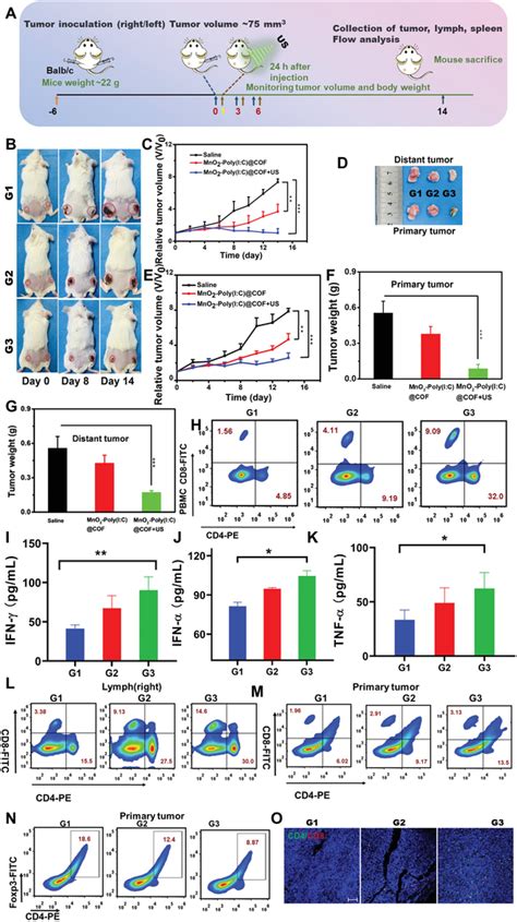 Antitumor Effect Of Mno2‐poly I C Cof In Bilateral Subcutaneous Tumor