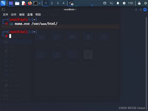 网络安全 木马入侵windows Msfvenom反弹shell（cmd）msf反弹shell Csdn博客