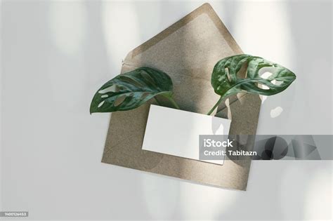 열대 여름 문구 모형 장면 빈 명함 공예 봉투 및 작은 괴물은 햇빛에 떠납니다 하얀 두들겨 맞은 테이블 배경 여름 브랜딩 사진 웹 배너 플랫 레이 상단 디자인에 대한 스톡