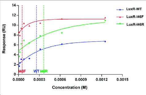 Surface Plasmon Resonance Characterization Of Binding Of 3oc6 Hsl To