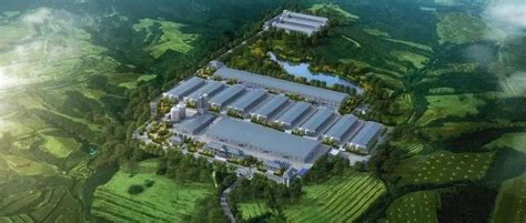 单体联排30万只蛋鸡，12层高 朝阳韩伟蛋业300万只蛋鸡项目设备安装启动鞭炮声仪式加工