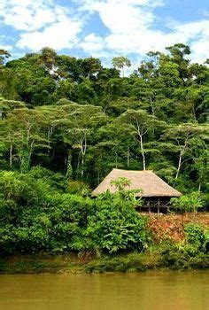 Visita La Selva Peruana Artofit
