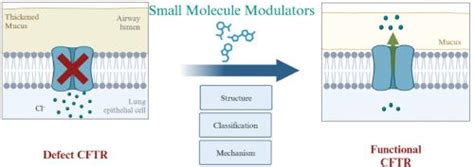 囊性纤维化跨膜电导调节剂 （cftr） 的小分子调节剂：结构、分类和机制european Journal Of Medicinal Chemistry X Mol